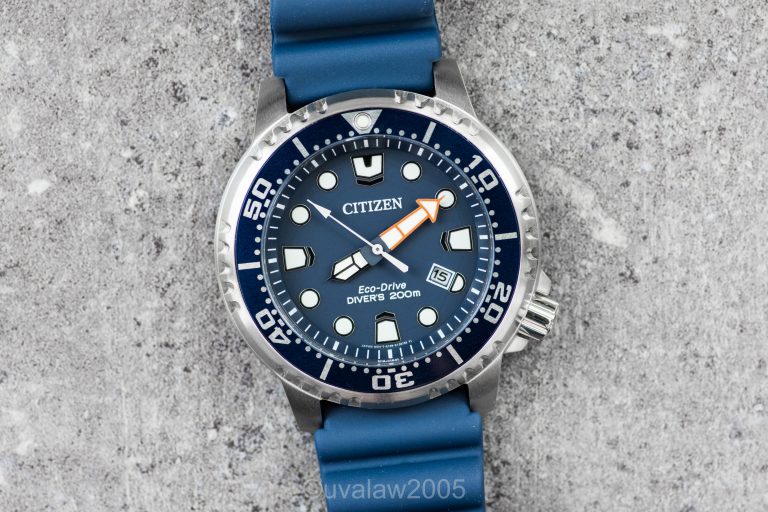 Citizen BN0151-09L Eco-Drive Promaster Review & Complete Guide ...