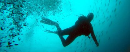 Top 14 Best Quartz Dive Watches [List & Guide] - Millenary Watches